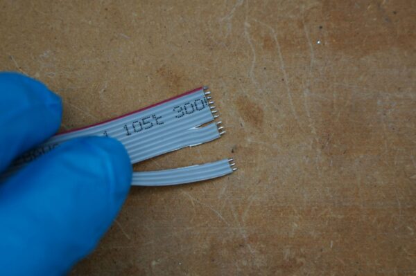 VDC-NUS – Arthrimus